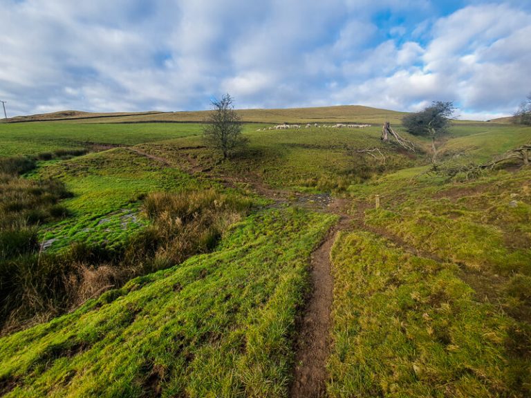 Shutlingsloe Walk from Wildboarclough (via Macclesfield Forest) | 7 ...