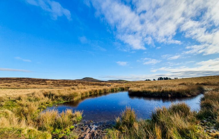 Shutlingsloe Walk from Wildboarclough (via Macclesfield Forest) | 7 ...