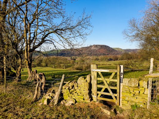 Shutlingsloe Walk from Wildboarclough (via Macclesfield Forest) | 7 ...