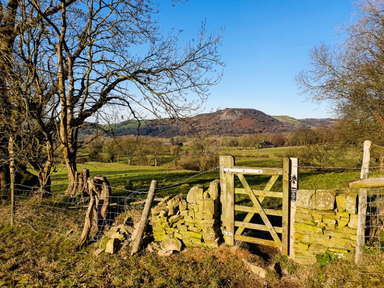 Shutlingsloe Walk from Wildboarclough (via Macclesfield Forest) | 7 ...