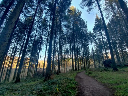 Shutlingsloe Walk from Wildboarclough (via Macclesfield Forest) | 7 ...