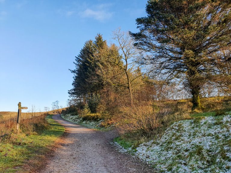 Shutlingsloe Walk from Wildboarclough (via Macclesfield Forest) | 7 ...