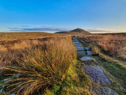 Shutlingsloe Walk from Wildboarclough (via Macclesfield Forest) | 7 ...