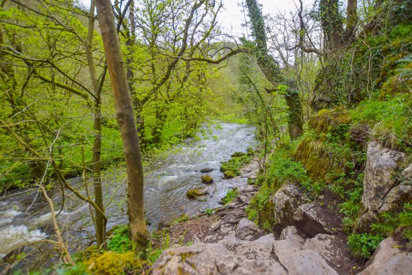 Chee Dale Walk From Miller’s Dale (Stepping Stones Walk) | 5-Mile Route ...