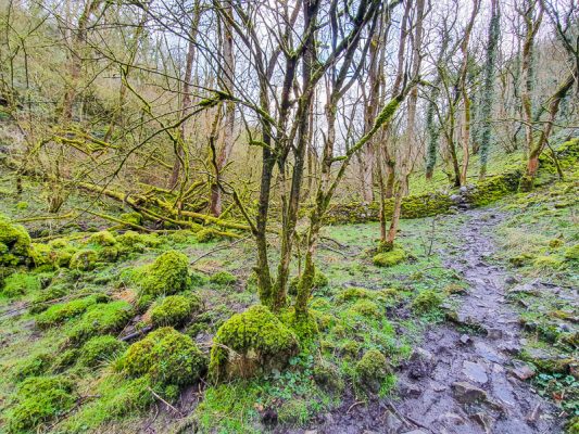 Millers Dale – Peak District Walks