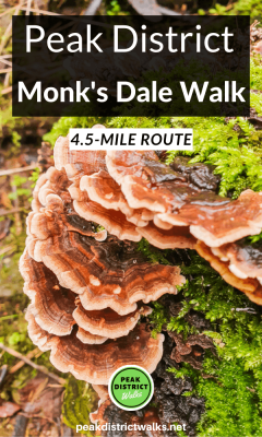Monk’s Dale Walk From Miller Dale | 4.5-Mile Route – Peak District Walks