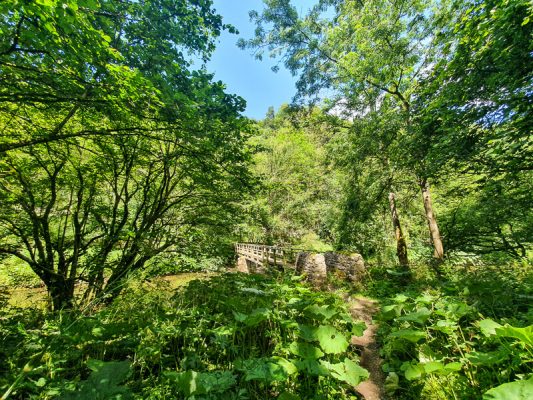 Tideswell Dale, Miller’s Dale + Monsal Trail Walk | 7-Mile Route – Peak ...