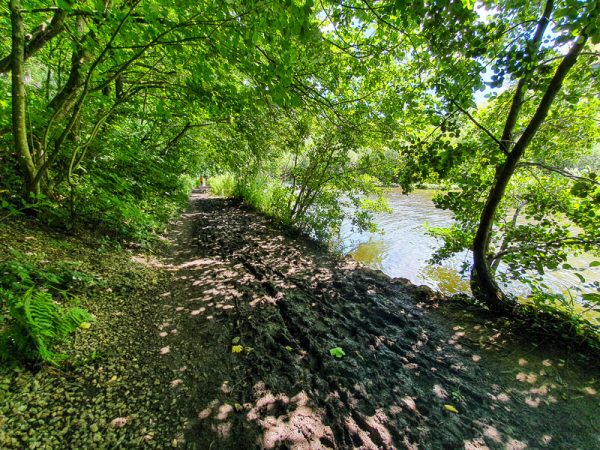 Tideswell Dale, Miller’s Dale + Monsal Trail Walk | 7-Mile Route – Peak ...