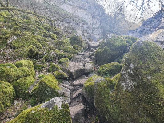 Lathkill Dale Walk (+ Waterfall) From Monyash | 4-Mile Route – Peak ...