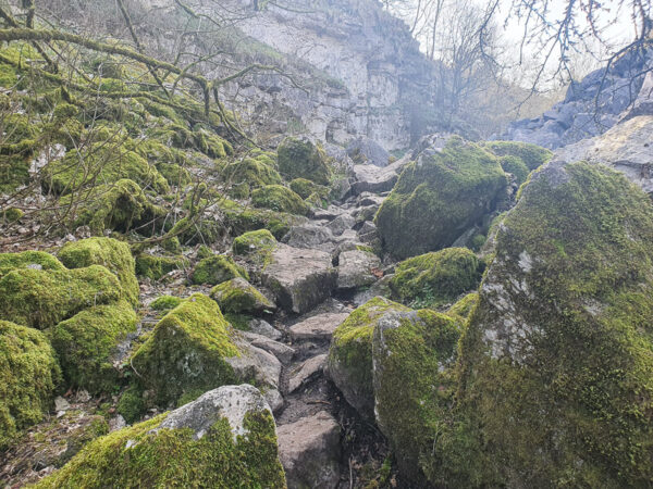 Lathkill Dale Walk (+ Waterfall) From Monyash | 4-Mile Route – Peak ...