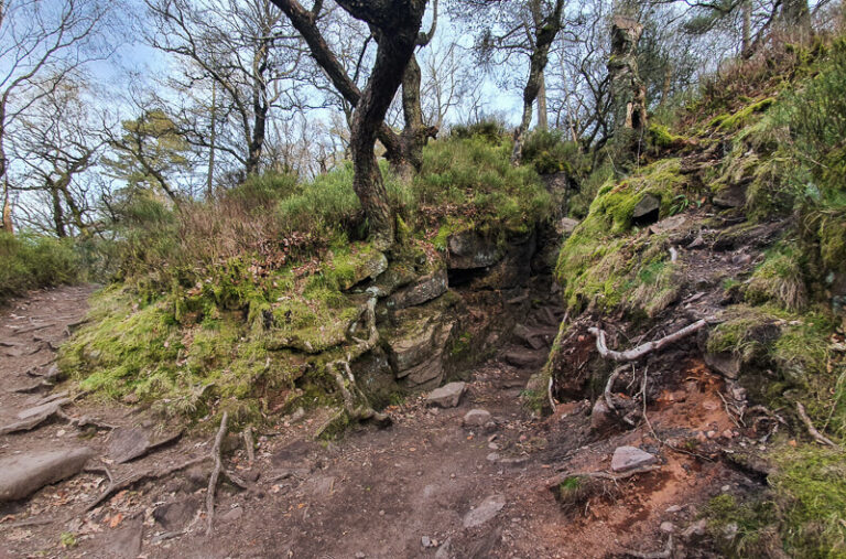 Lud’s Church Walk (+ River Dane) From Gradbach | 6-Mile Route – Peak ...