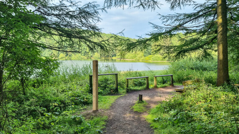 Shutlingsloe Hill Walk (Via Macclesfield Forest) From Wildboarclough ...