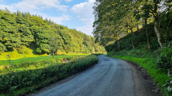 Shutlingsloe Hill Walk (Via Macclesfield Forest) From Wildboarclough ...