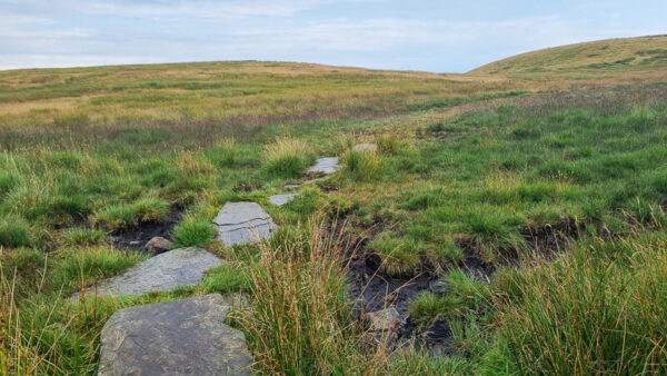 Shutlingsloe Hill Short Walk From Wildboarclough | 3-Mile Route – Peak ...
