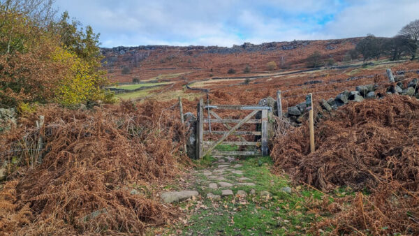 Baslow Edge Short Walk From Baslow | 4-Mile Route – Peak District Walks