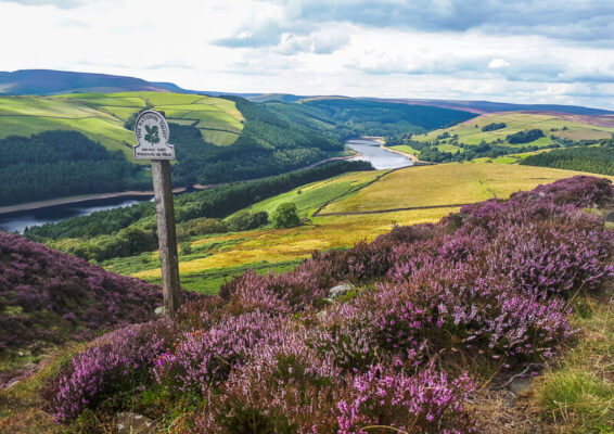 12 BEST Circular Walks in the Peak District – Peak District Walks