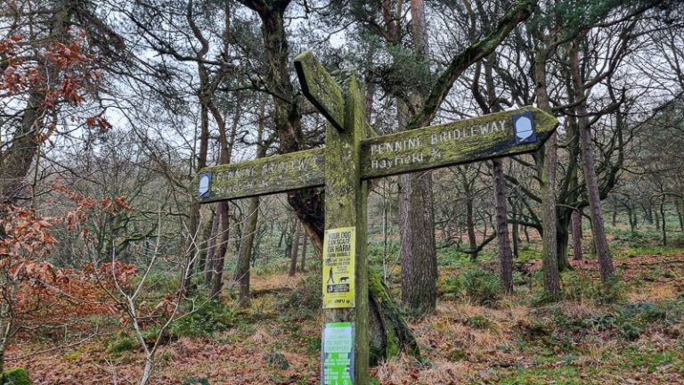 Mount Famine + South Head Walk From Hayfield | 7-Mile Route – Peak ...
