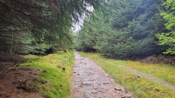 Win Hill Walk From Ladybower Reservoir | 6-Mile Route – Peak District Walks