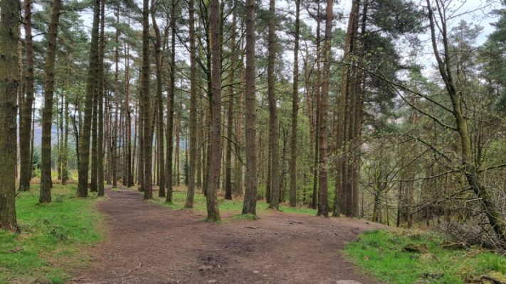 Win Hill Walk From Ladybower Reservoir | 6-Mile Route – Peak District Walks