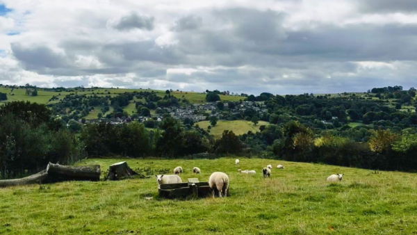 Robin Hood’s Stride + Stanton Moor from Winster | 9-mile route – Peak ...