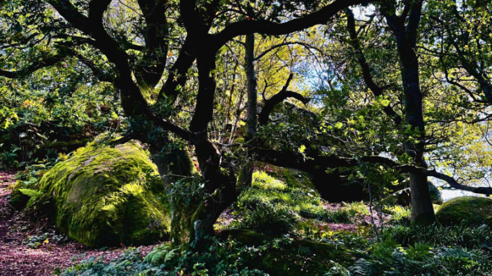 Robin Hood’s Stride + Stanton Moor from Winster | 9-mile route – Peak ...